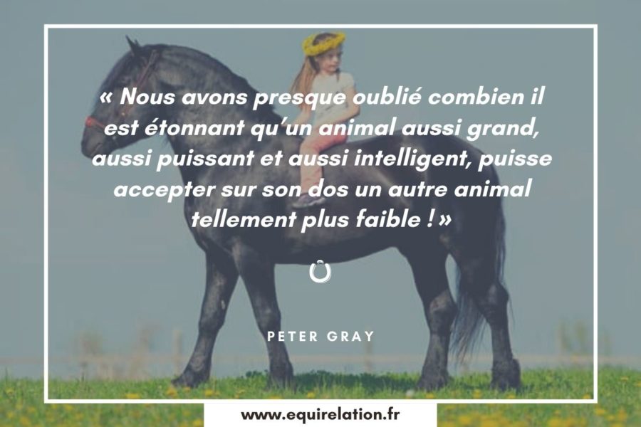 Les 75 plus belles citations sur les chevaux - Equirelation