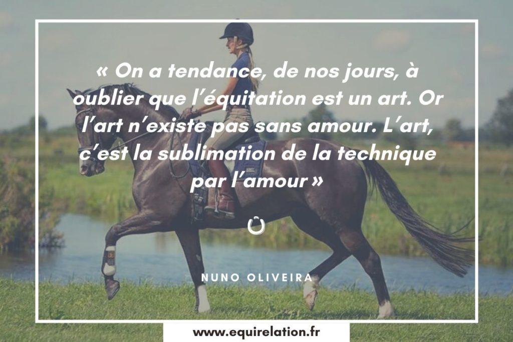 Les 75 plus belles citations sur les chevaux - Equirelation